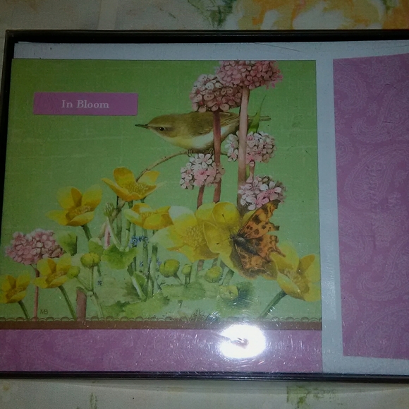 Hallmark | Office | Box Set Hallmark Natures Sketchbook Cards | Poshmark